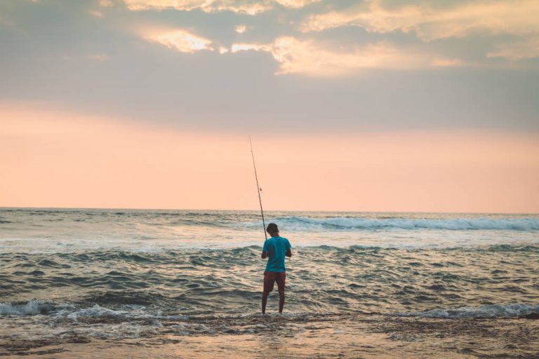 Guide des activités et points d’intérêt à Praia do Bilene au Mozambique ...